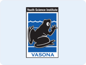 YSI