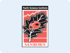 YSI
